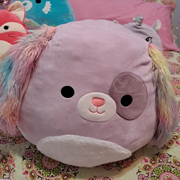 Squishmallows | Toys | Squishmallow Barb The Purple Dog With Rainbow ...